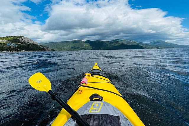 H2O Paddles – H2O Performance