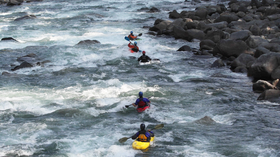 H2O Paddles – H2O Performance